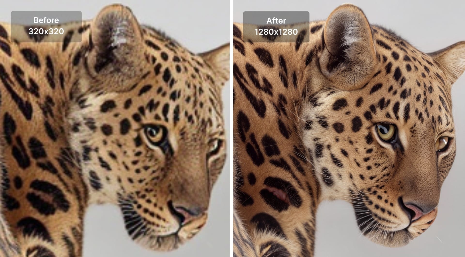 DPI vs PPI vs pixels for printing: Get high-quality files in 2026