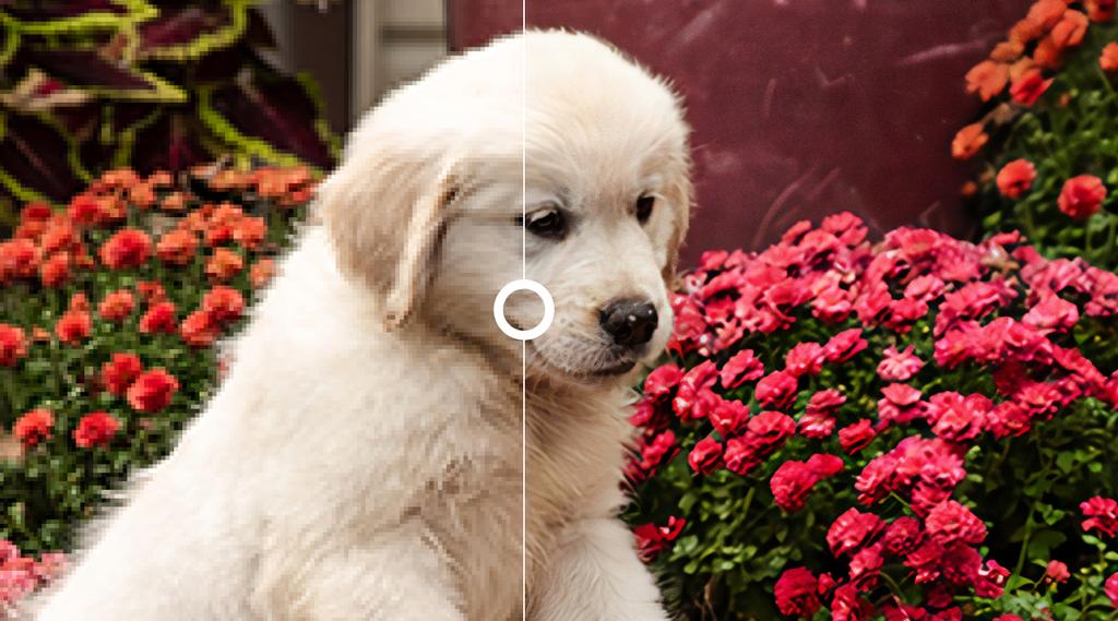 AI to unblur, depixelate, sharpen & make images clear online | LetsEnhance