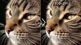 300 DPI Converter for Sharp Prints | LetsEnhance