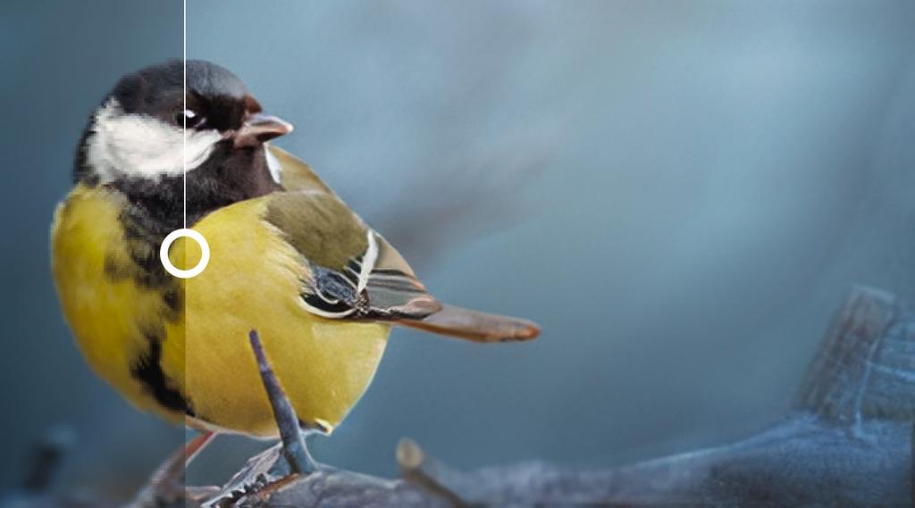 AI Photo Enhancer: Improve image quality to 4K online - Try free ...