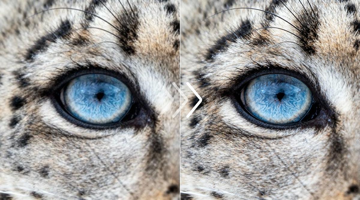 AI HD image converter to 4K & 1080p. Try free | LetsEnhance